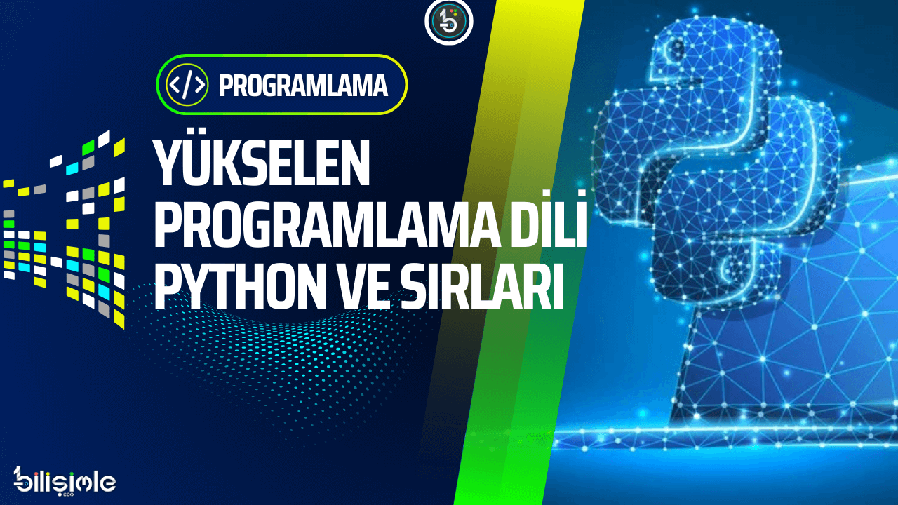Dünya Genelinde Yükselen Python Programlama Dili ve Sırları
